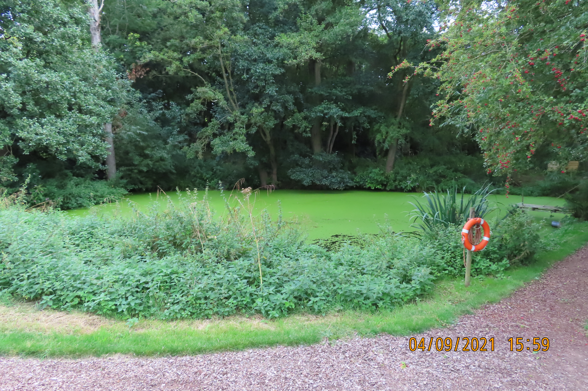 Fishponds 300m SE of Baginton Castle - Our Warwickshire