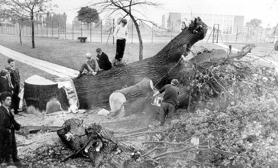 Nuneaton. Pingles Fields - Our Warwickshire