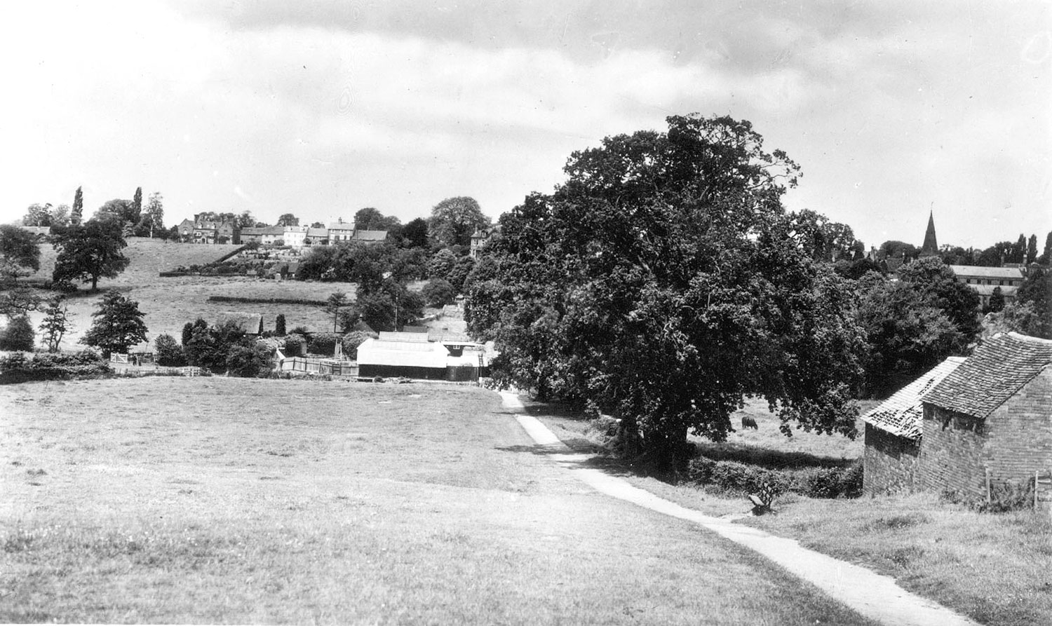 Kenilworth. Abbey Fields - Our Warwickshire